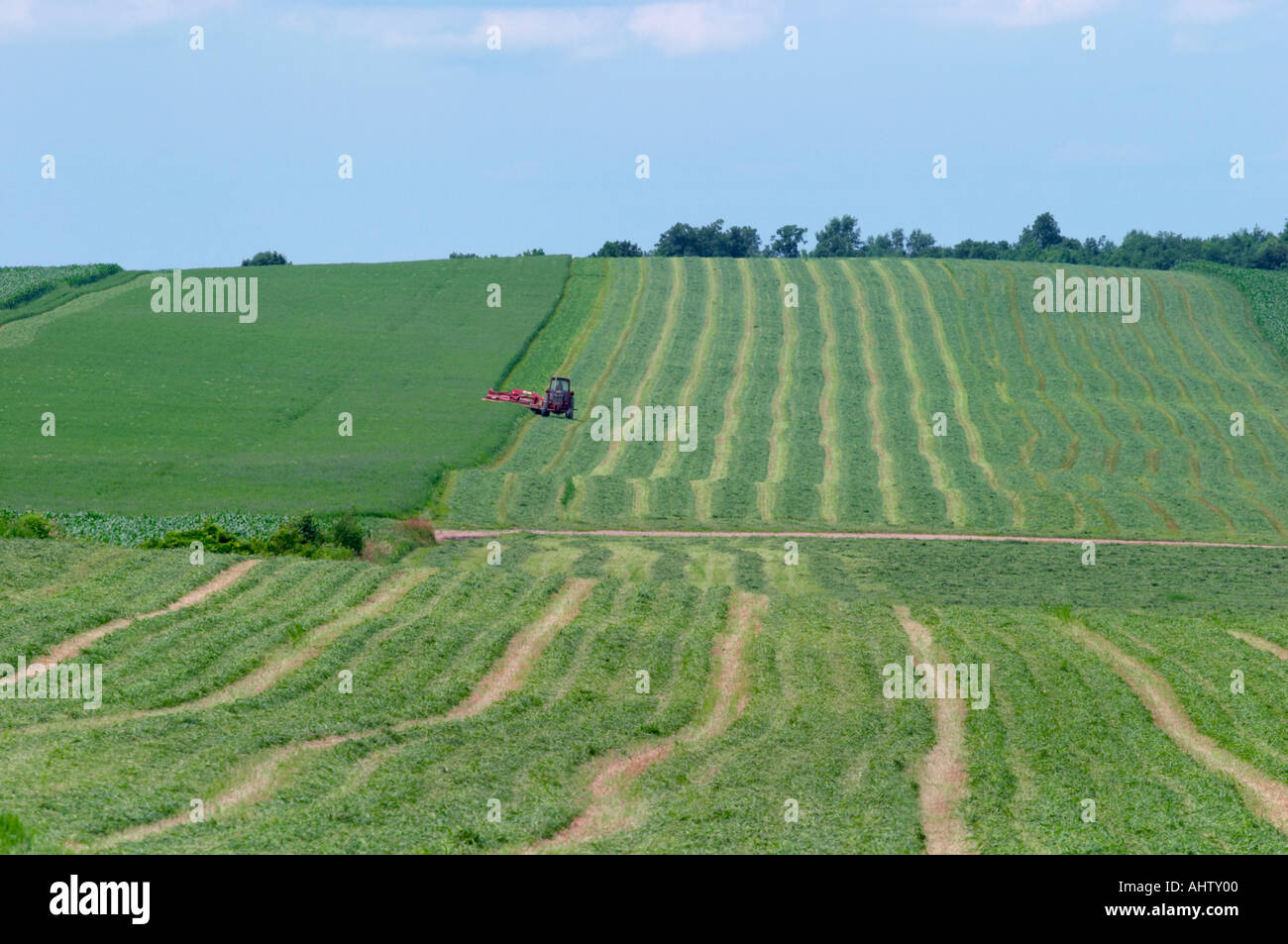 Rows Of Crops Being Mowed In A Farm Field In The Finger Lakes Region Of New York State Usa Stock