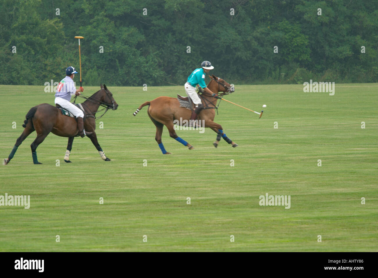 Polo match in Western New York Stock Photo - Alamy