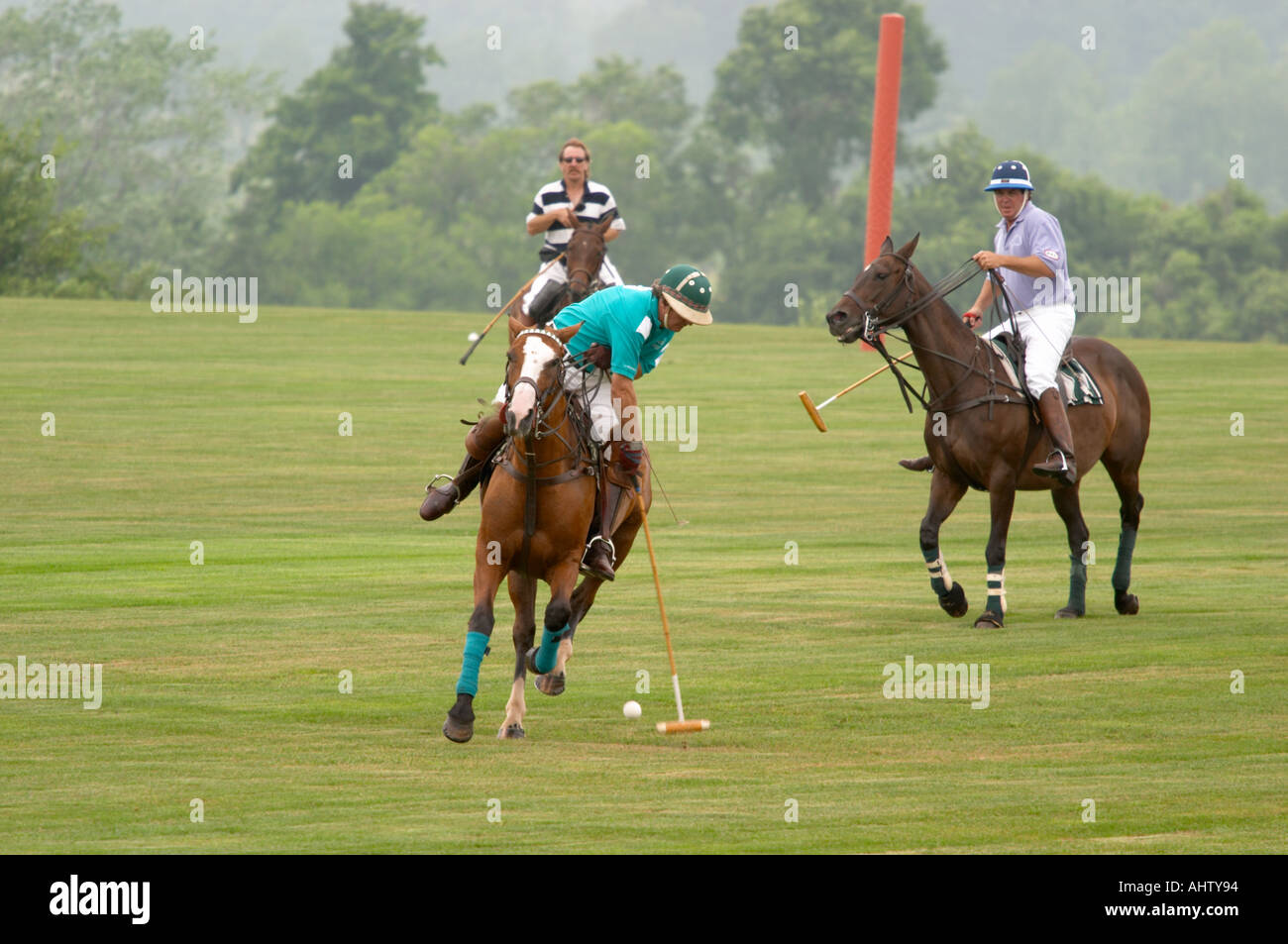 Polo match in Western New York Stock Photo - Alamy