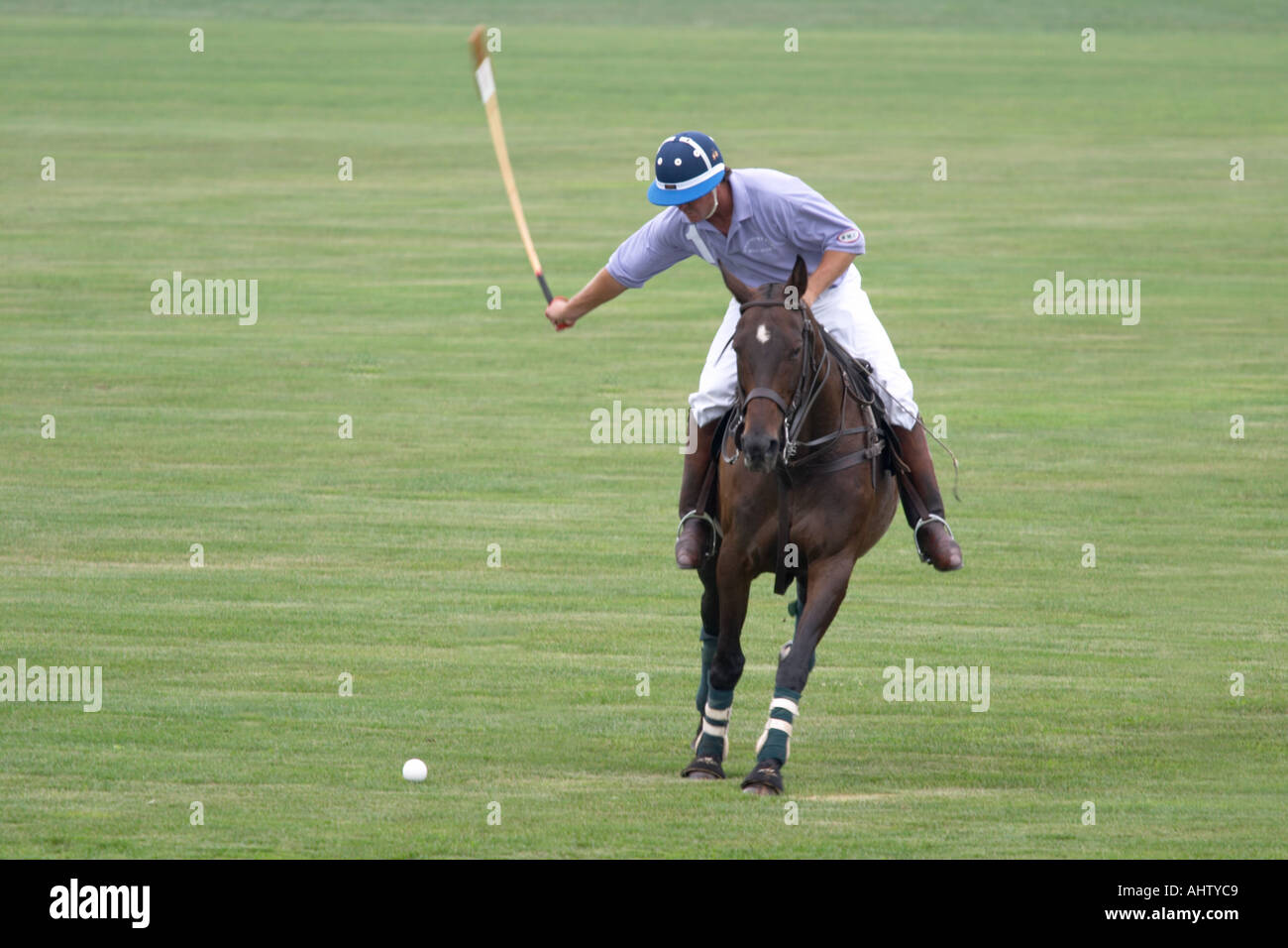 Polo match in Western New York Stock Photo - Alamy