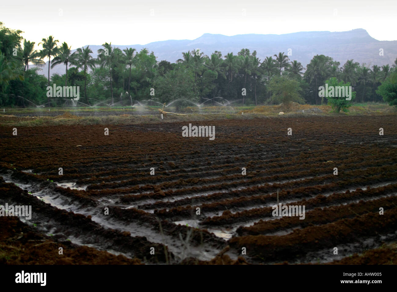 Drip irrigation india hi-res stock photography and images - Alamy