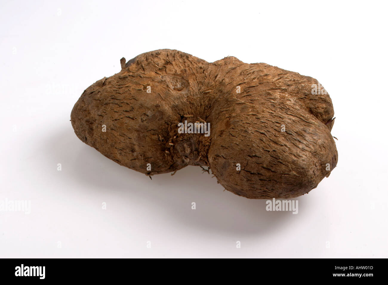 Indian Purple Yam vegetable Ratalu Kand Kandh raw material for famous ...