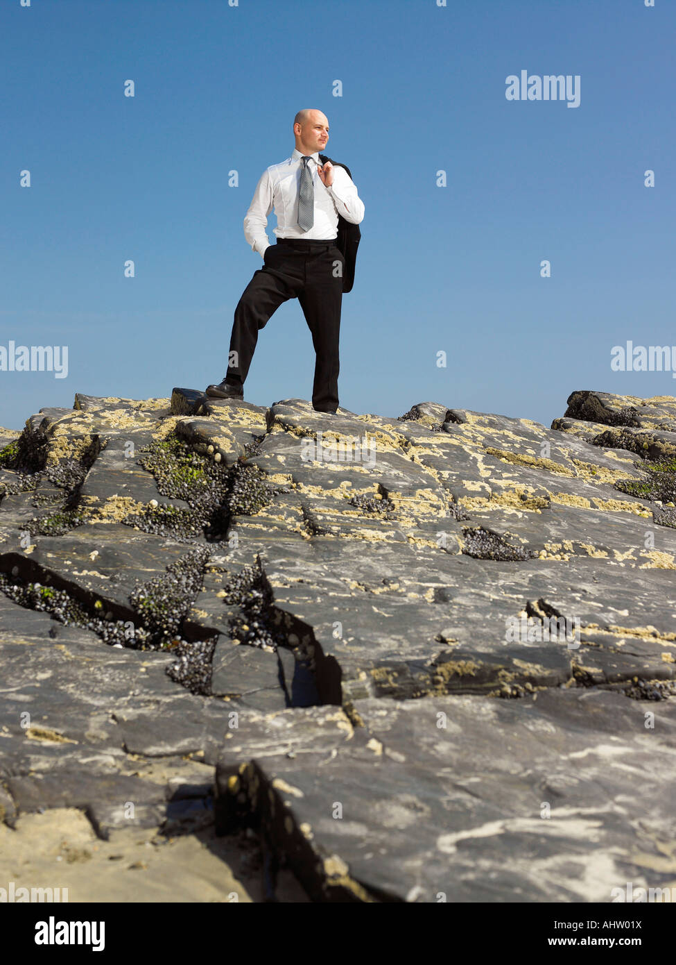 Businessman standing on rock Stock Photo - Alamy