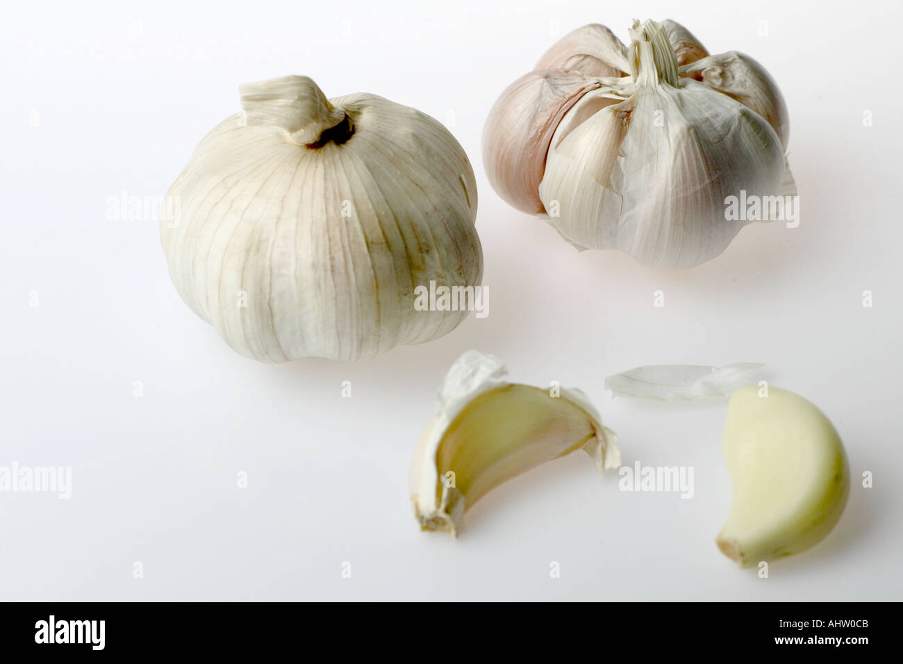 AAD 91743 Spice herb ayurvedic naturopathy healthy vegetable garlic ...