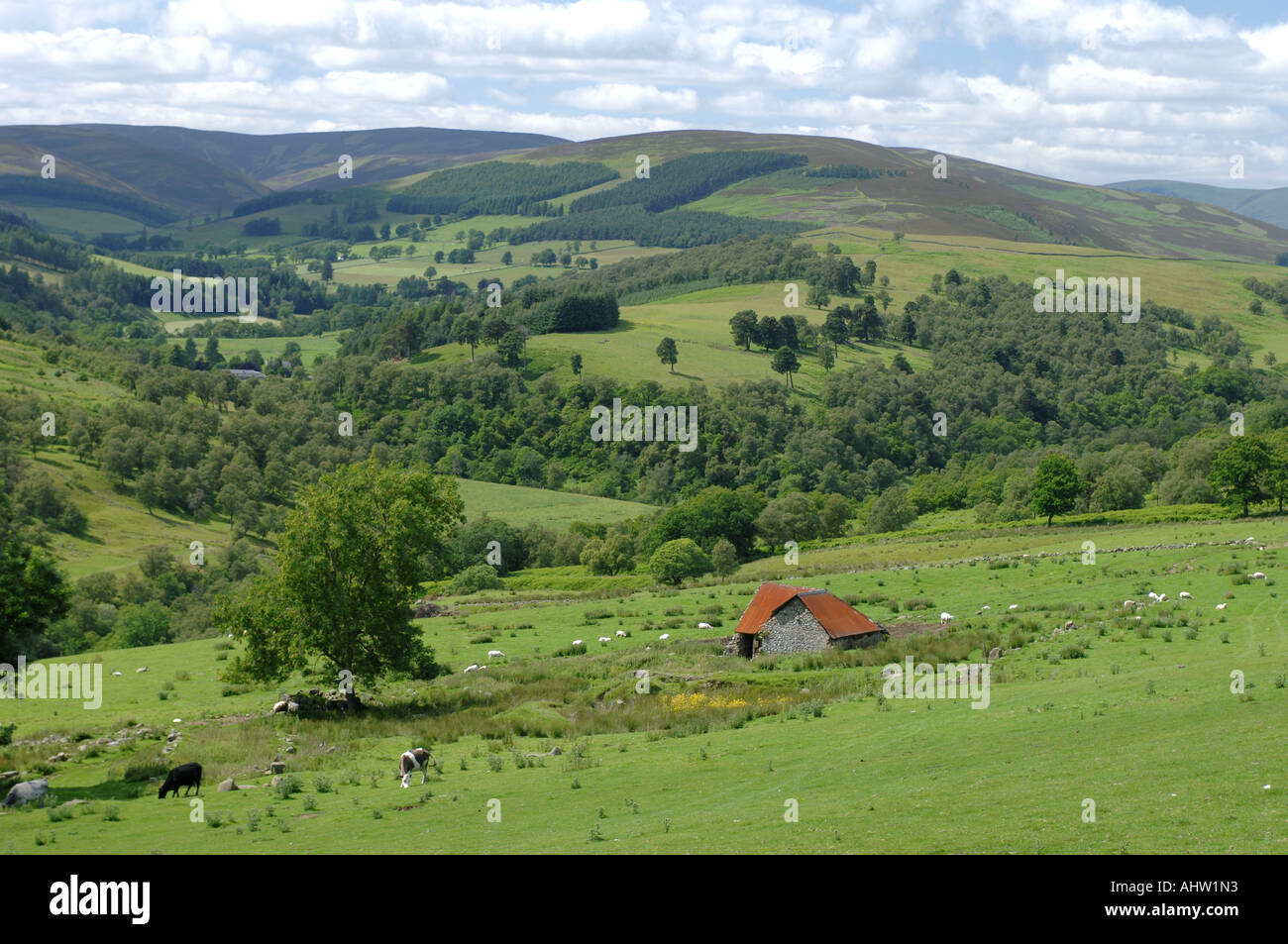 Glen prosen hi-res stock photography and images - Alamy