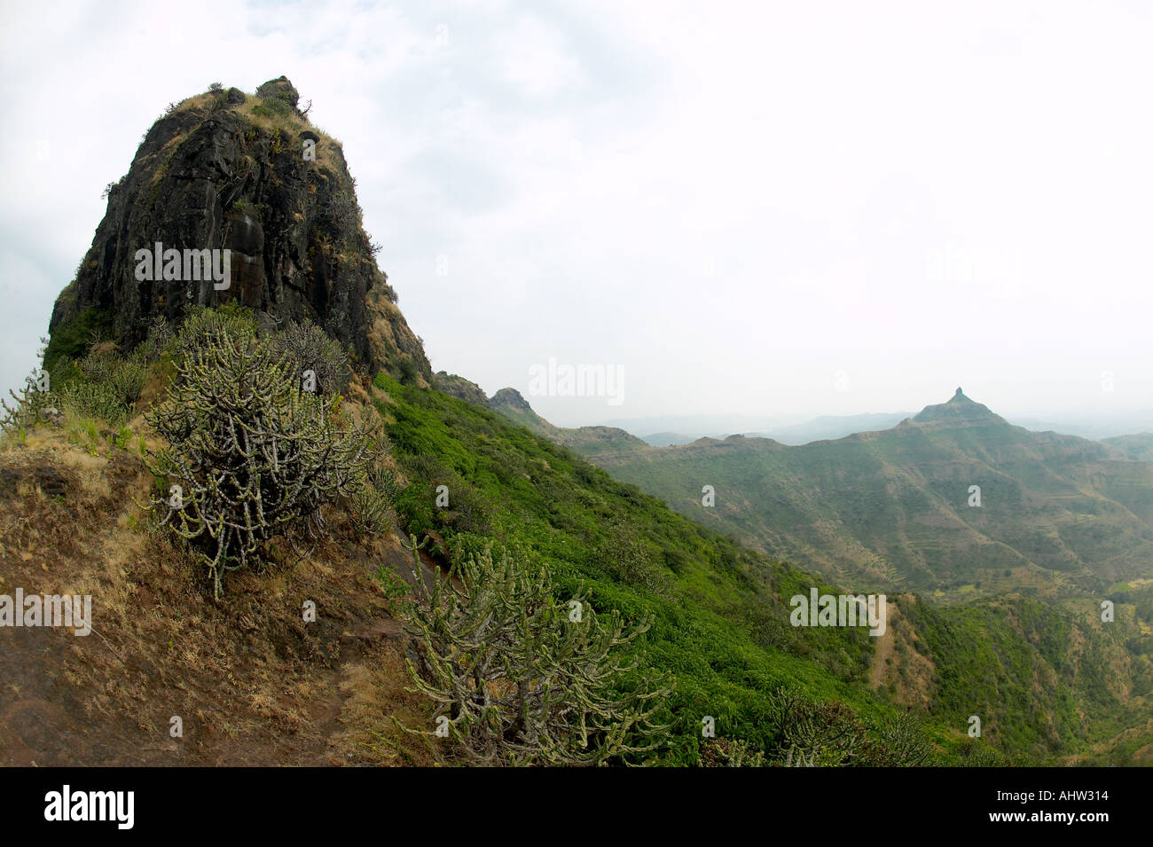 Gadh hi-res stock photography and images - Alamy