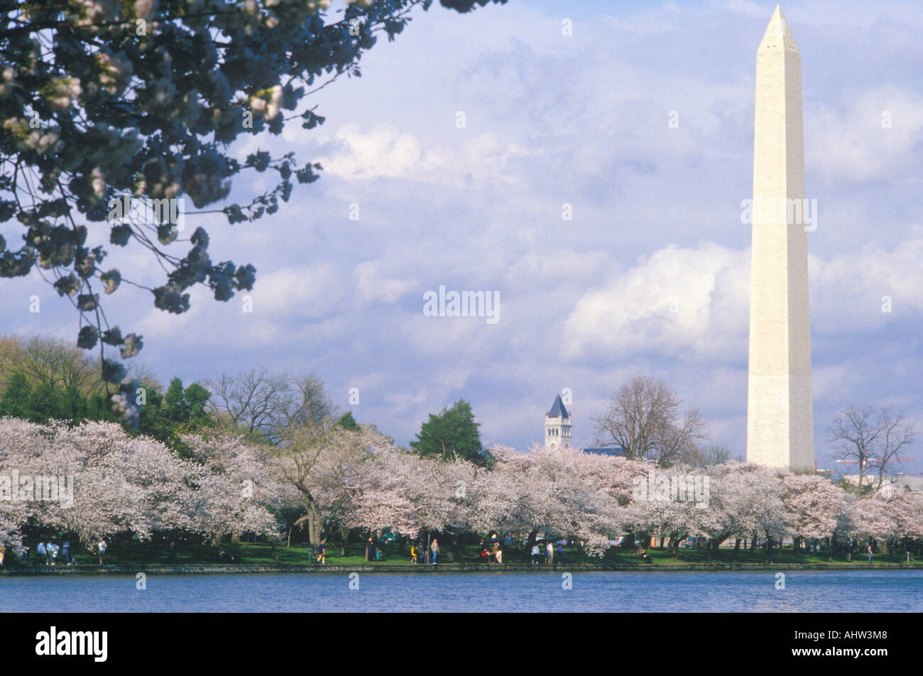 The Washington National Monument in Springtime Washington D C Stock ...