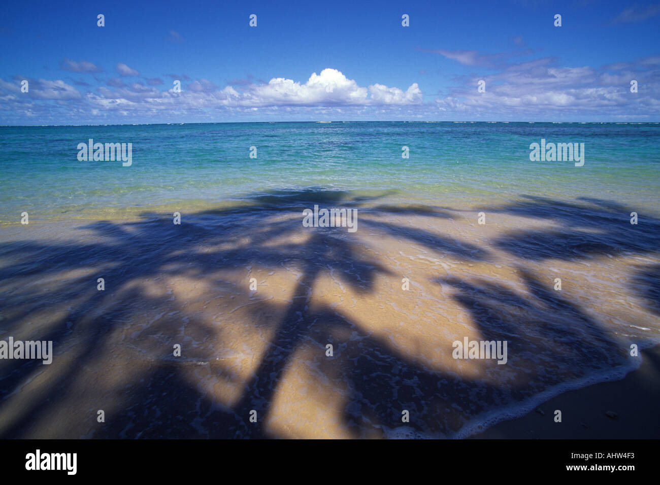 Beach with palm shadow Stock Photo - Alamy