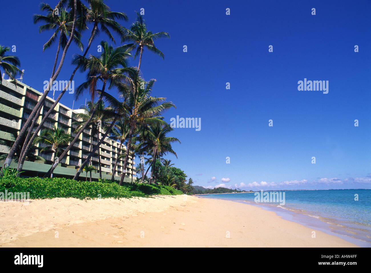 Punaluu oahu hawaii hi-res stock photography and images - Alamy