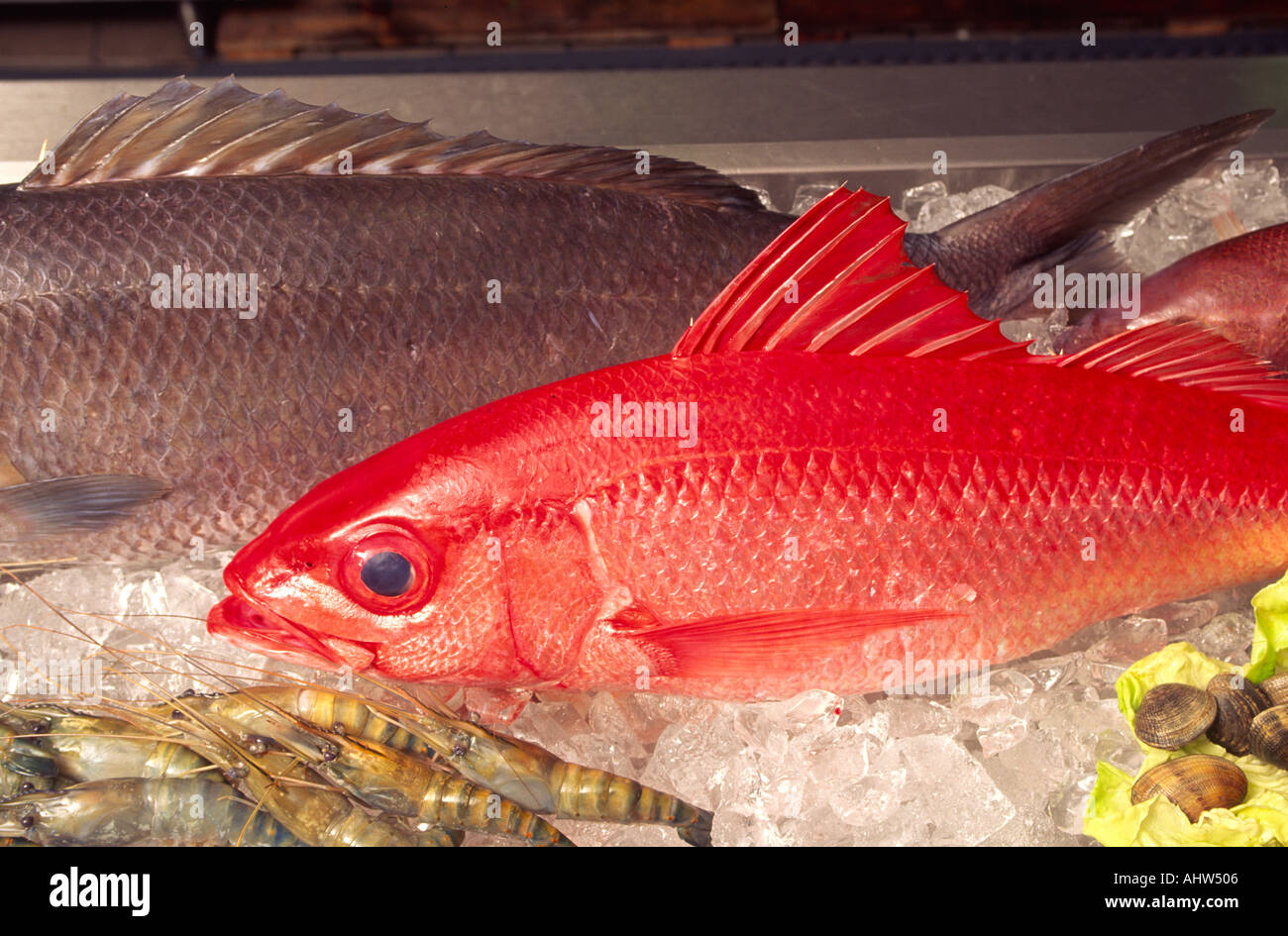 Onaga Stock Photos & Onaga Stock Images - Alamy