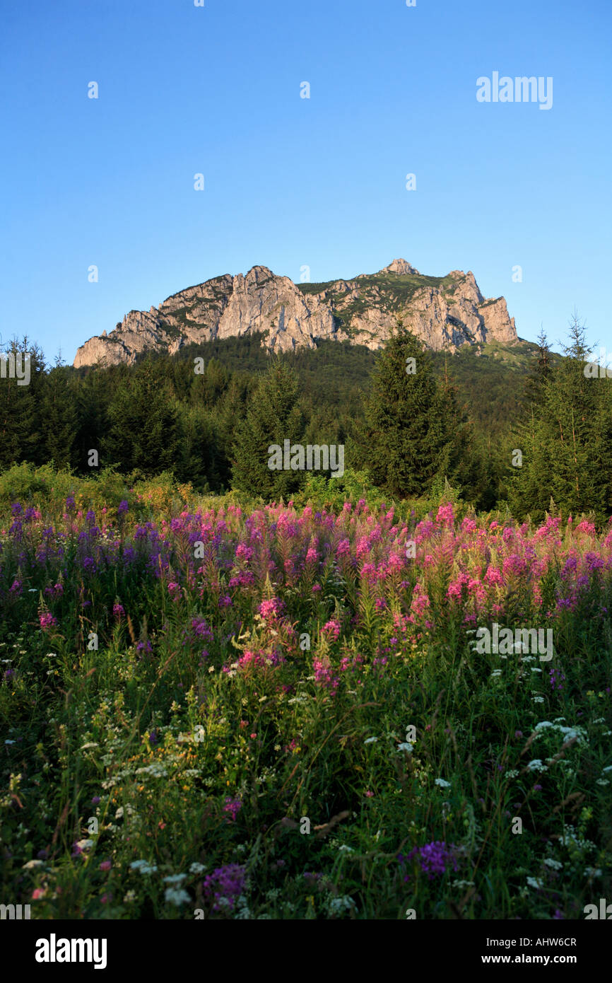 Chata vratna hi-res stock photography and images - Alamy
