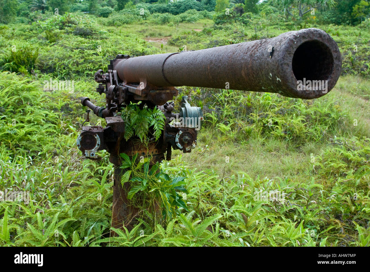 Japanese War Relics