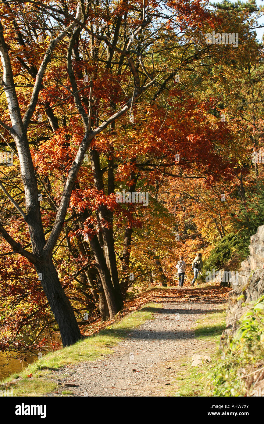 Two people walking on a tree-lined path surrounded by vibrant autumn ...