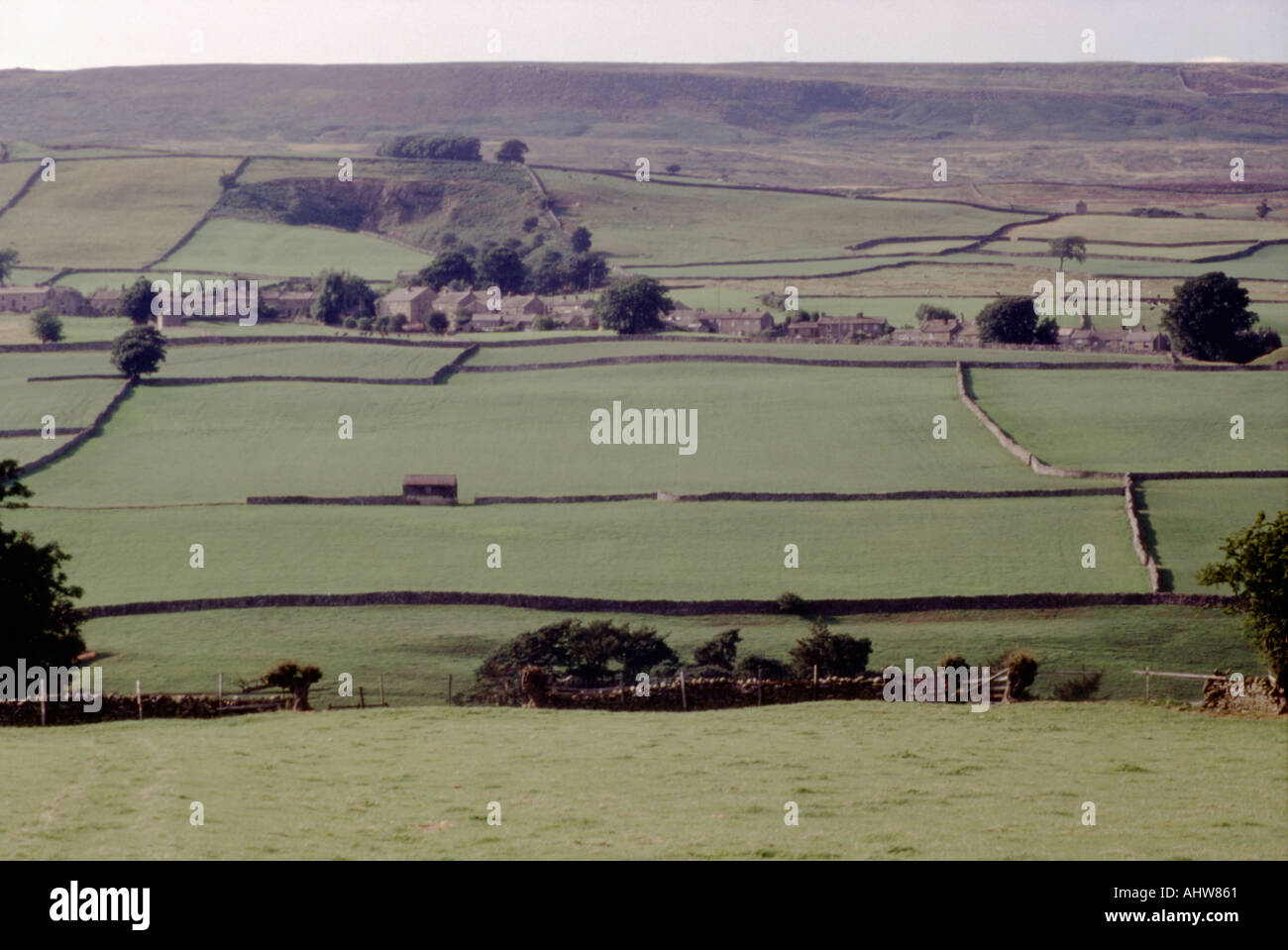 Rural landscape on the Yorkshire dales Stock Photo - Alamy