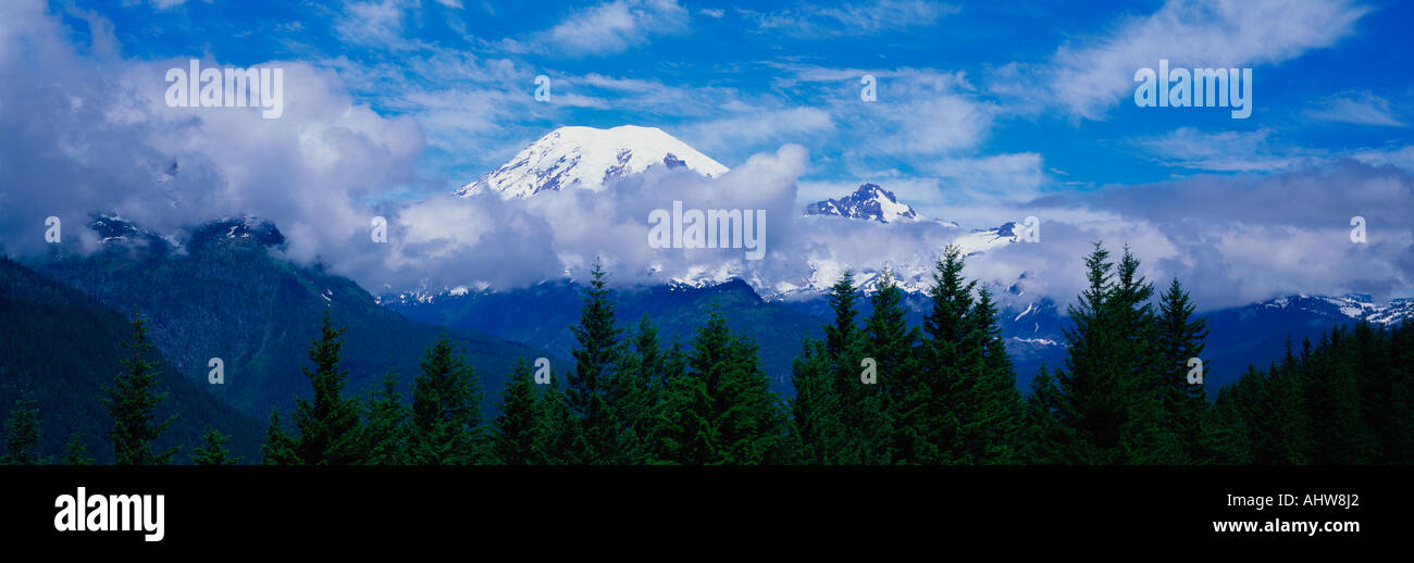 This is Mt Rainier surrounded by evergreen trees below it Stock Photo ...