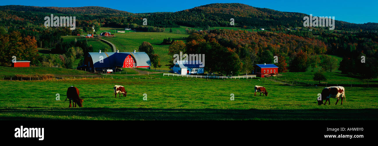 This is the Diamond Heart Farm in autumn The farm is owned by Paul P ...