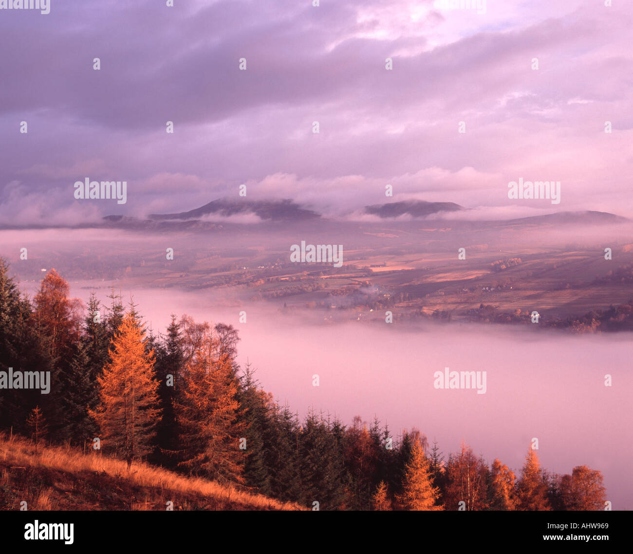 Scenetummel hi-res stock photography and images - Alamy