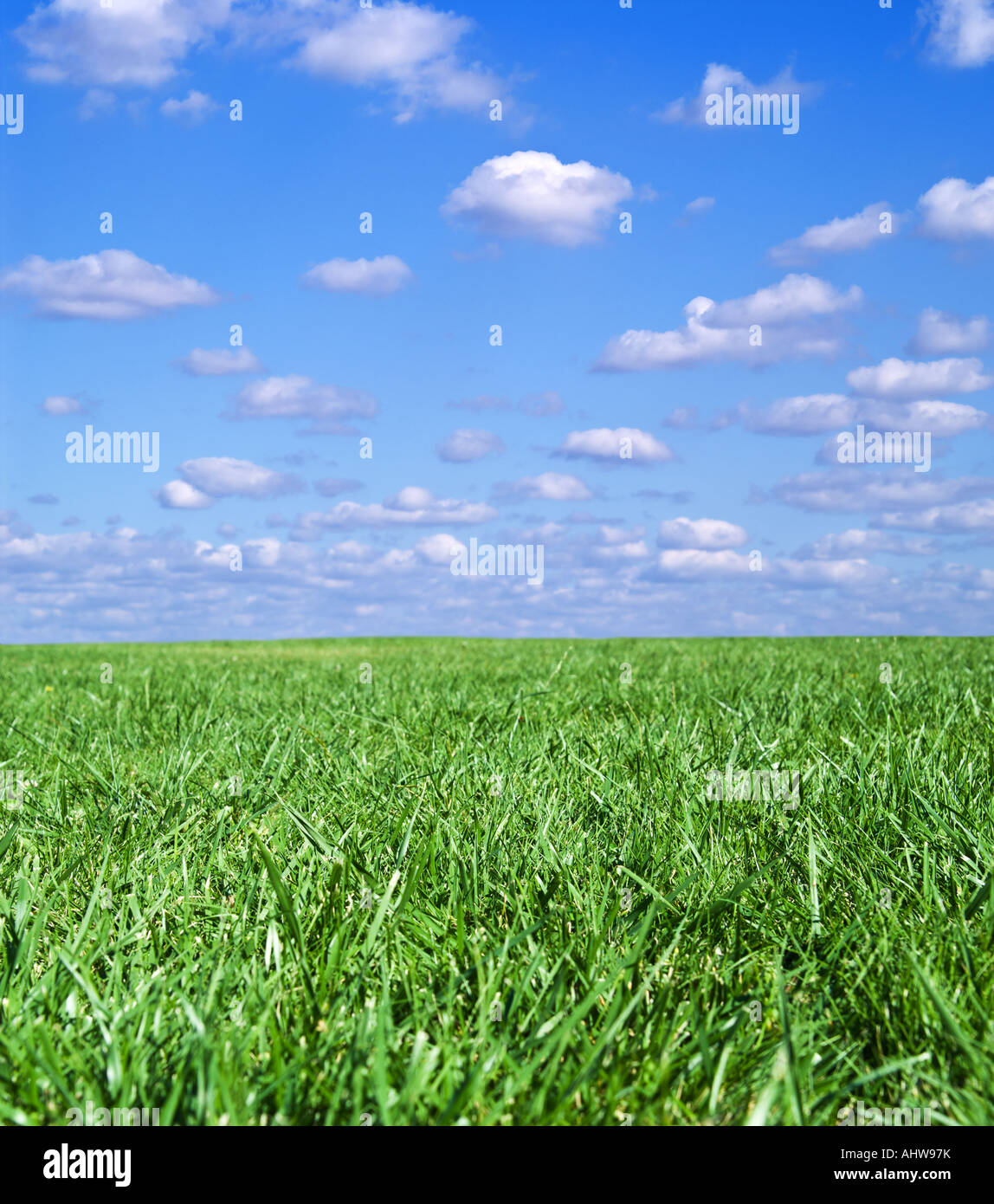 Grass ground sky hi-res stock photography and images - Alamy