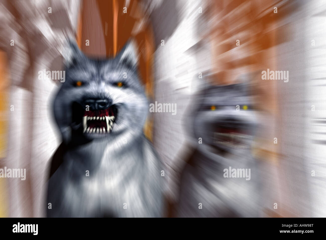 Snarling wolf hi-res stock photography and images - Alamy