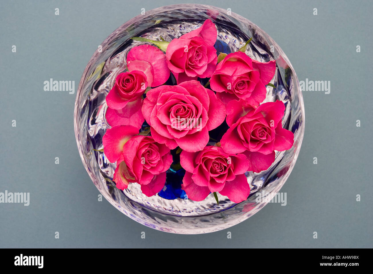 Rose flowers floating in a crystal bowl Stock Photo - Alamy