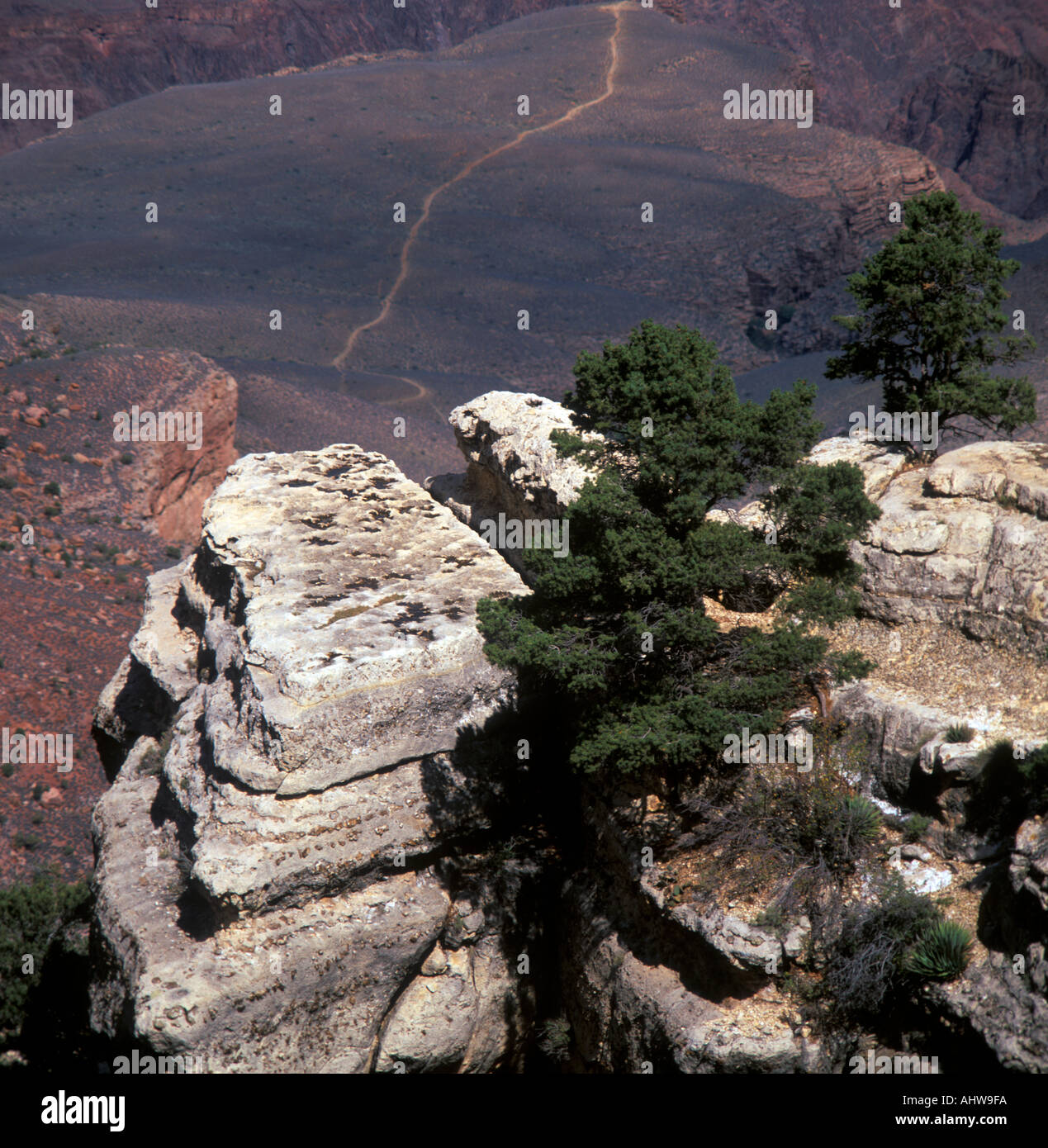 grand canyon mather point Stock Photo - Alamy