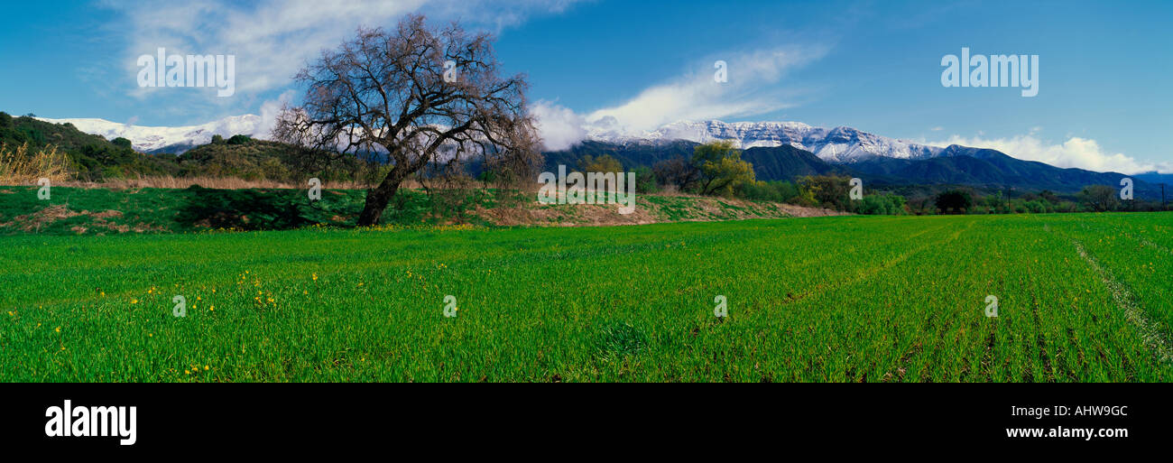 This is Upper Ojai in the spring with snow on the Topa Topa Mountains ...
