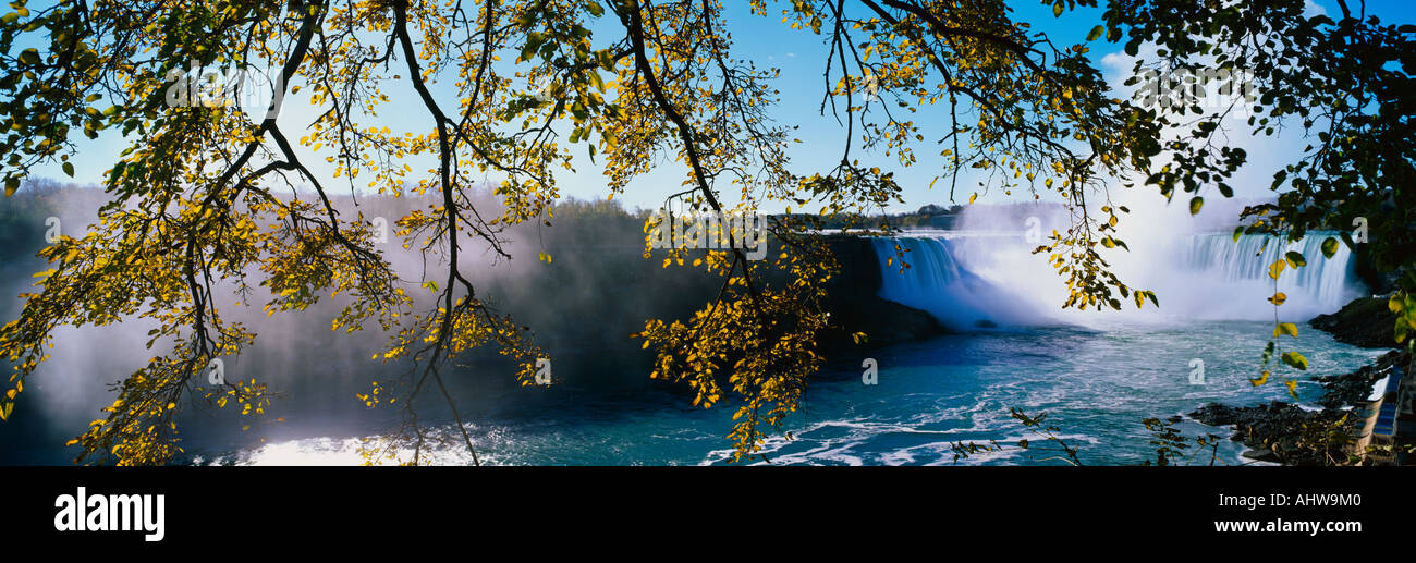 Overhanging foliage hi-res stock photography and images - Alamy