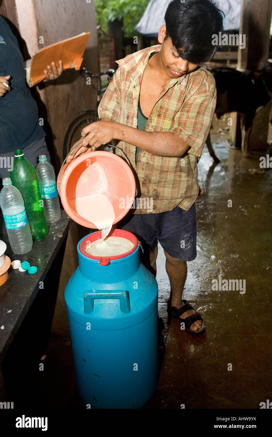 Milking cows by hand hi-res stock photography and images - Alamy