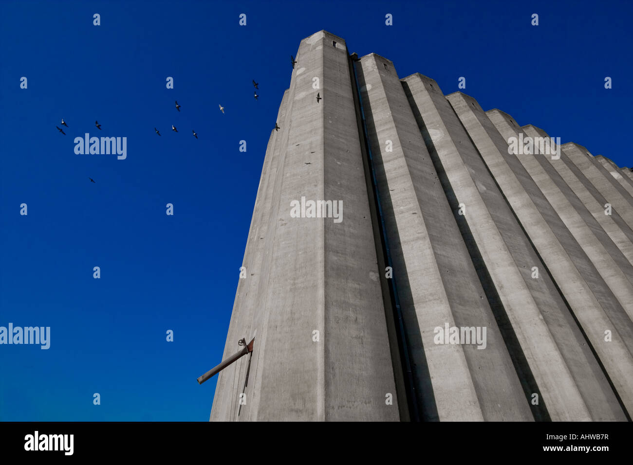Concrete silo for crop storage in agriculture Stock Photo - Alamy