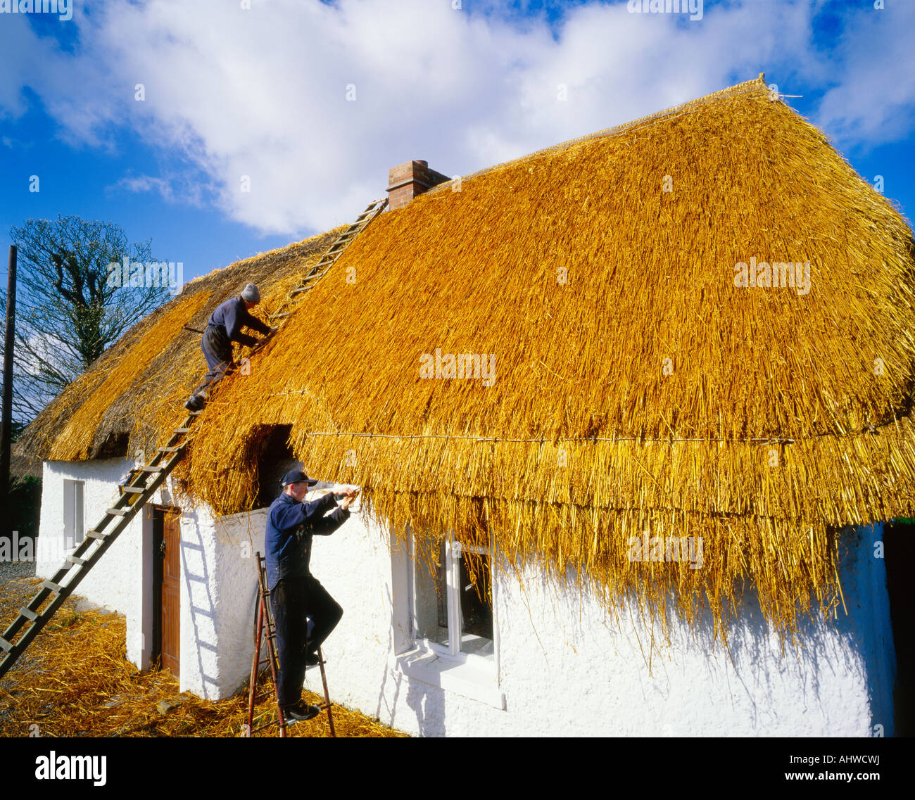 thatchers at work Stock Photo - Alamy