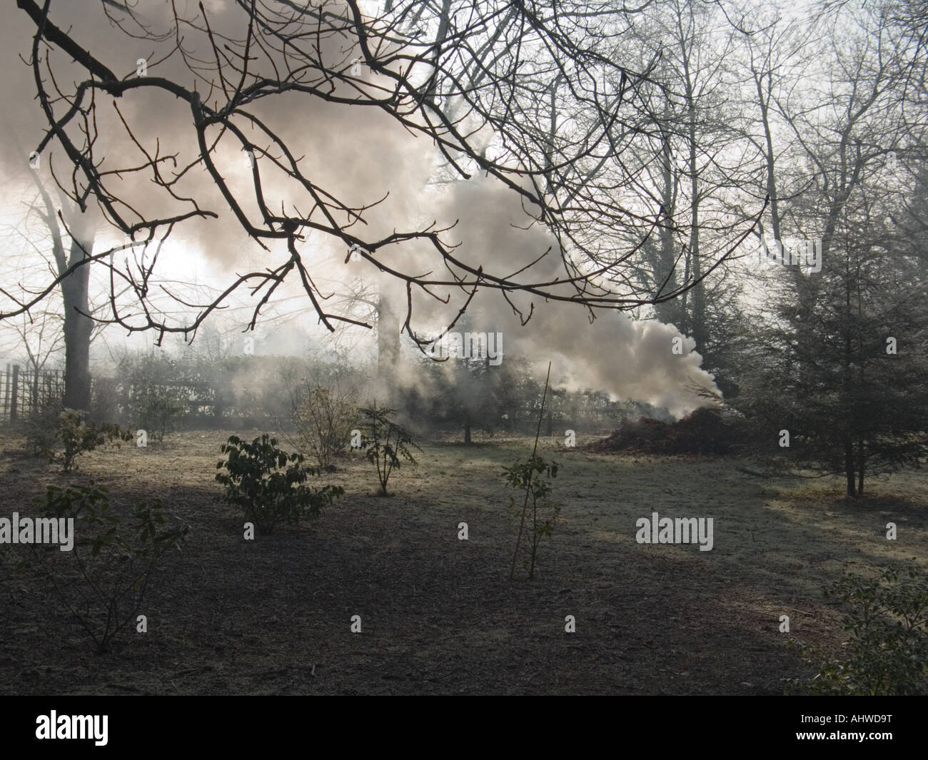 Bonfire on a sunny frosty morning Stock Photo - Alamy