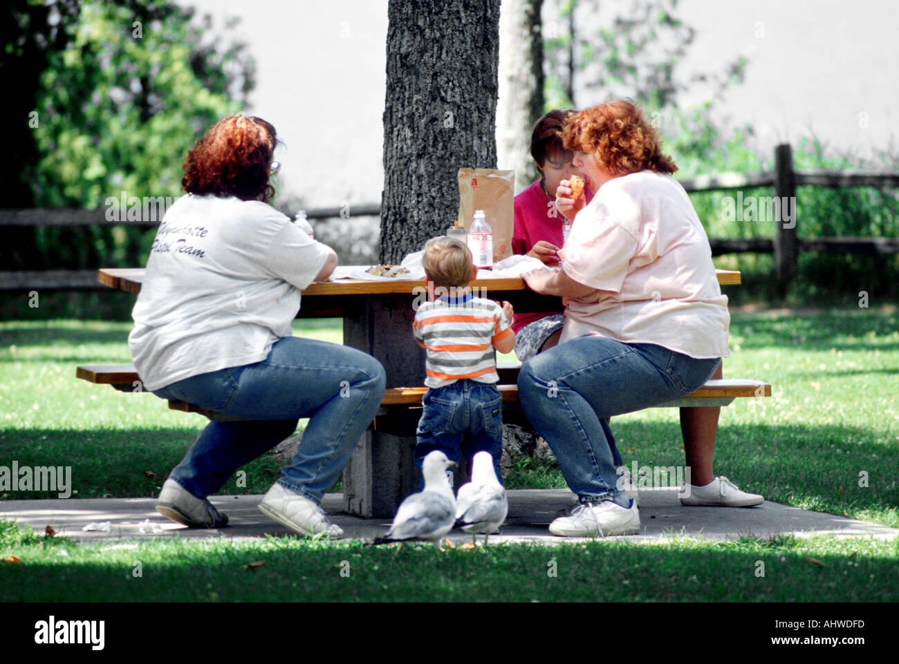 Overweight family over eats on a picnic outing Stock Photo - Alamy