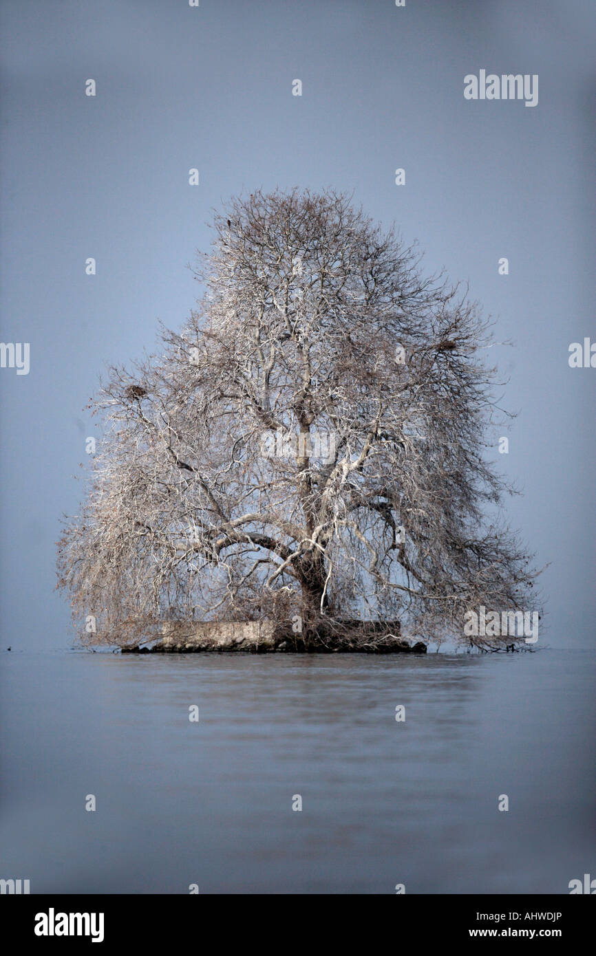 Lake geneva switzerland frozen hi-res stock photography and images - Alamy