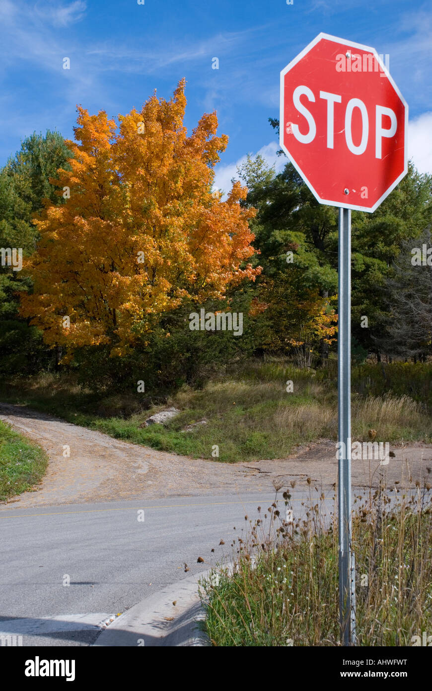 A stop sign in Ontario, Canada set against a colourful autumnal tree ...