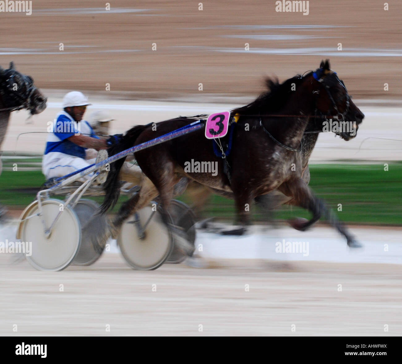 Horse racing malta hi-res stock photography and images - Alamy