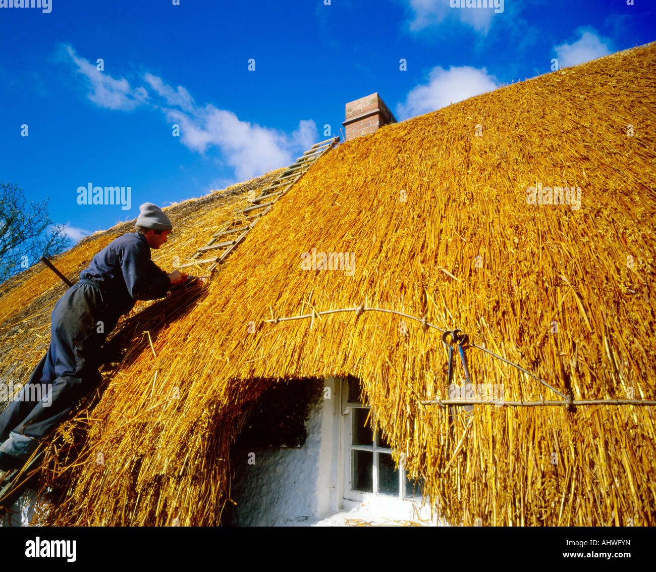 Thatchers hi-res stock photography and images - Alamy