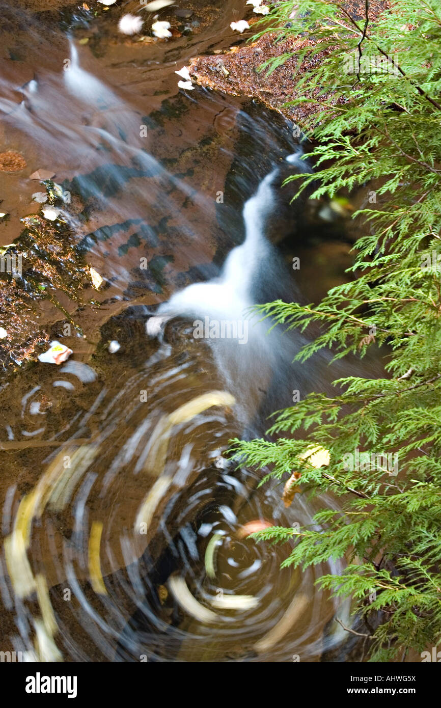 Little Union River with fall color at Porcupine Mountains State Park in ...