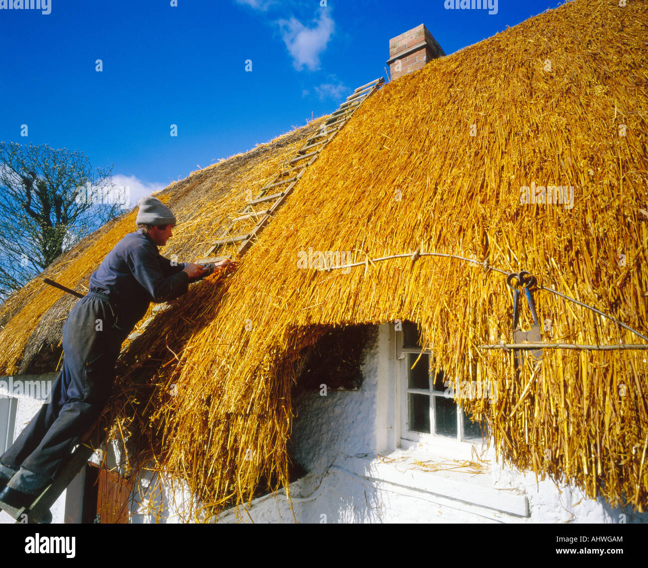 thatchers at work at Stock Photo - Alamy