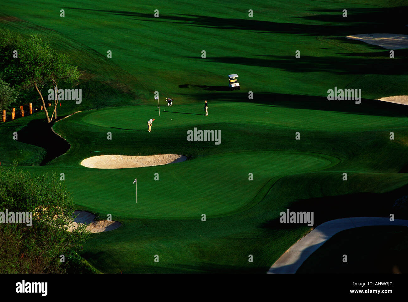 These are golfers approaching the green at Carmel Valley Ranch Golf ...