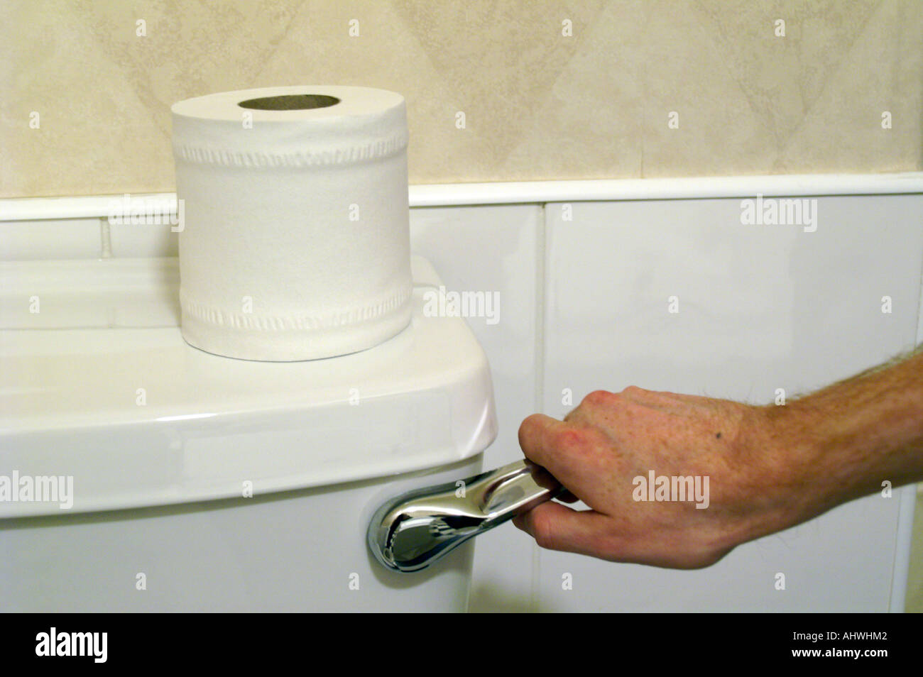 Hand flushing white toilet with a roll of toilet paper on top Stock ...