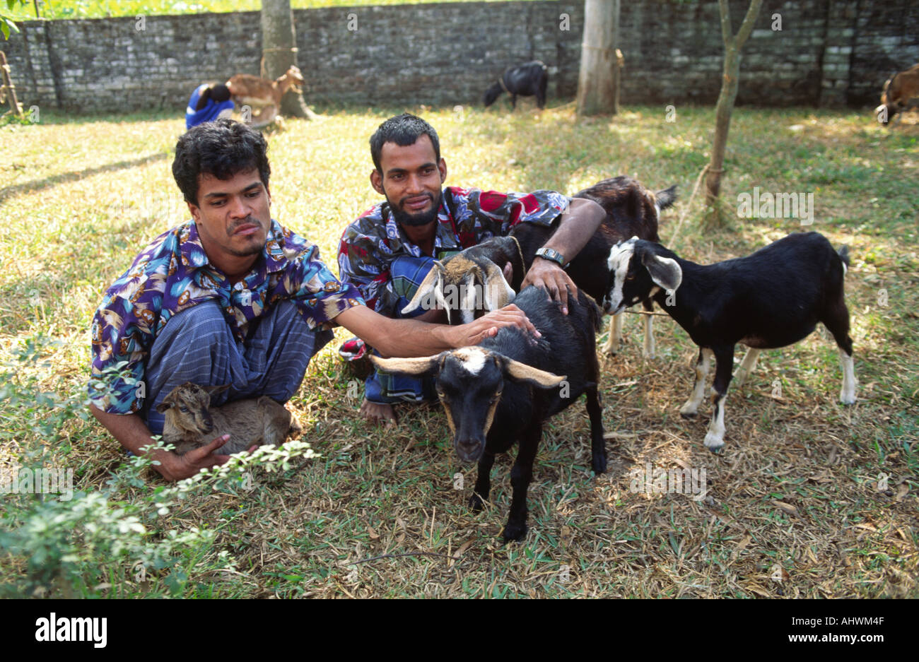 Disabled boys and therapy goats in a care home. Dhaka, Bangladesh Stock ...