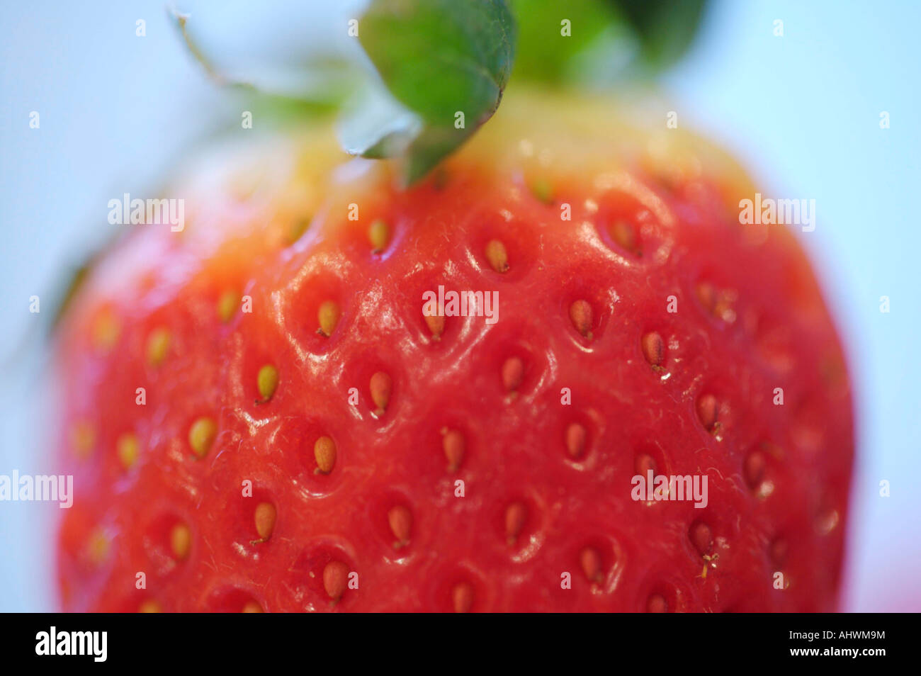 Strawberry seeds up close hi-res stock photography and images - Alamy