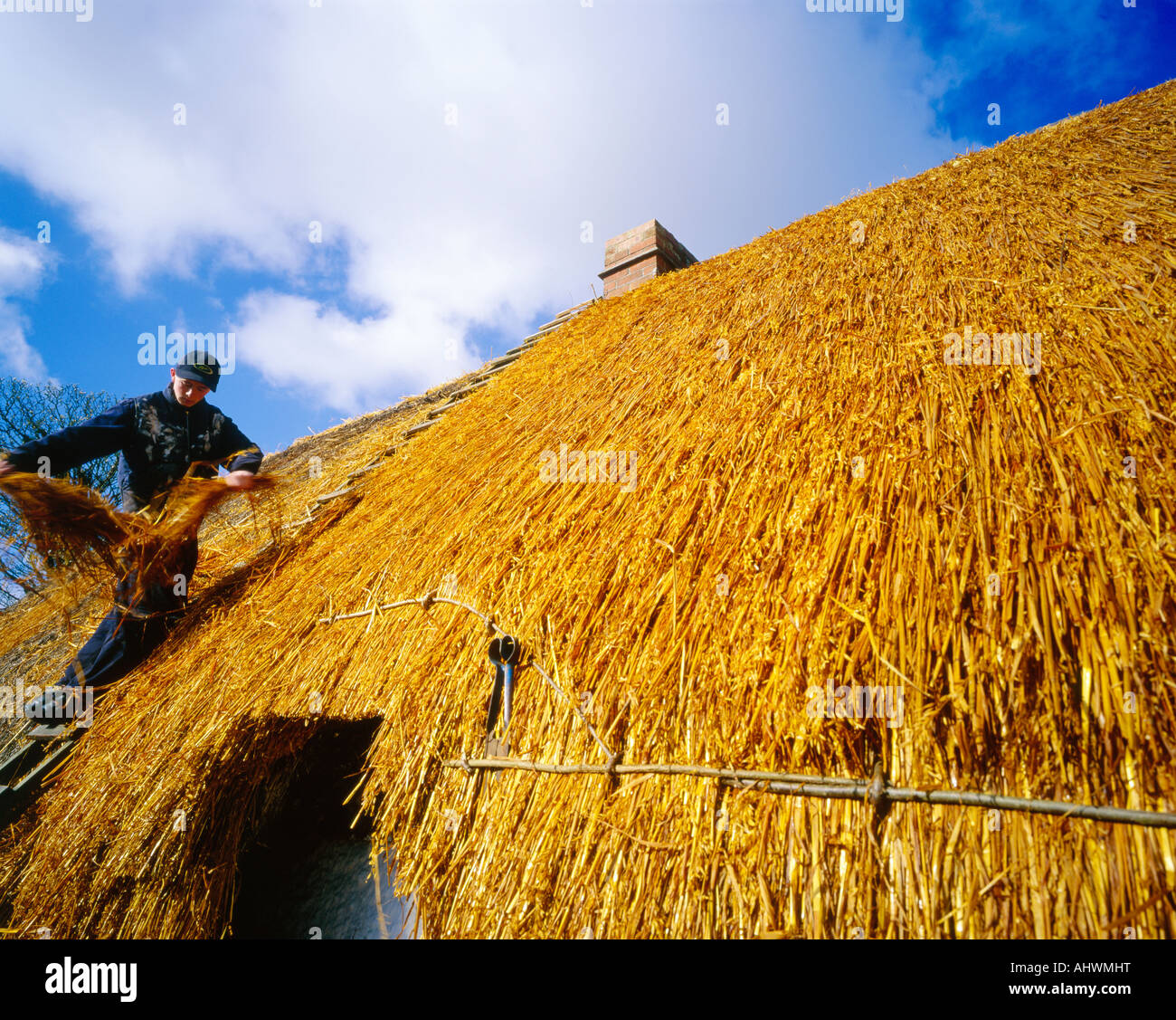 thatchers at work Stock Photo - Alamy