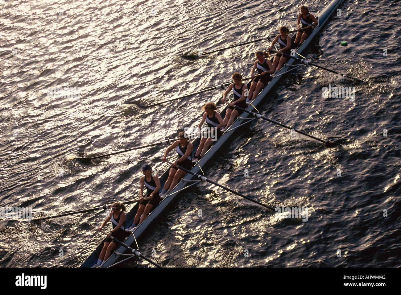 Crew team rowing in water Stock Photo - Alamy