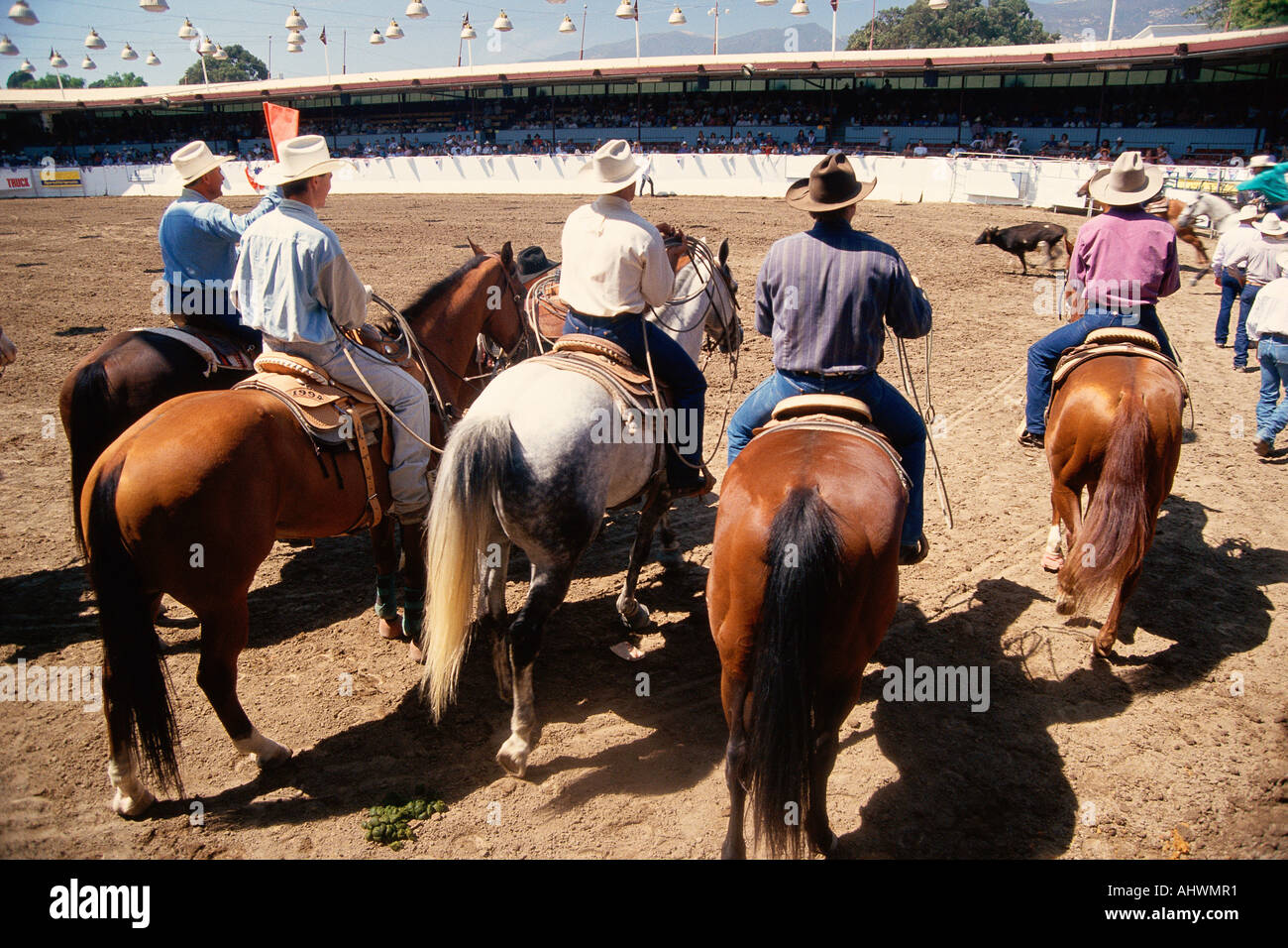 On horses hi-res stock photography and images - Alamy