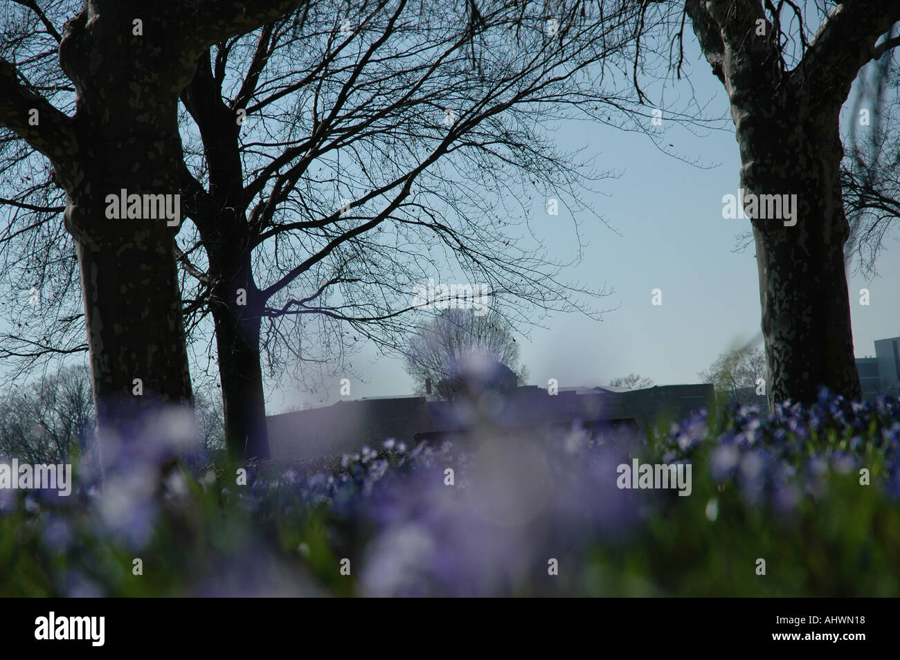 Hyac High Resolution Stock Photography and Images - Alamy