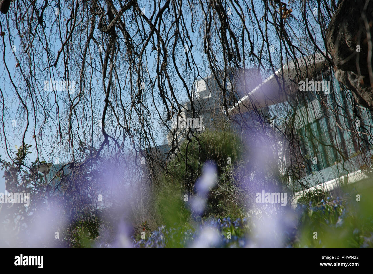 Hyac High Resolution Stock Photography and Images - Alamy