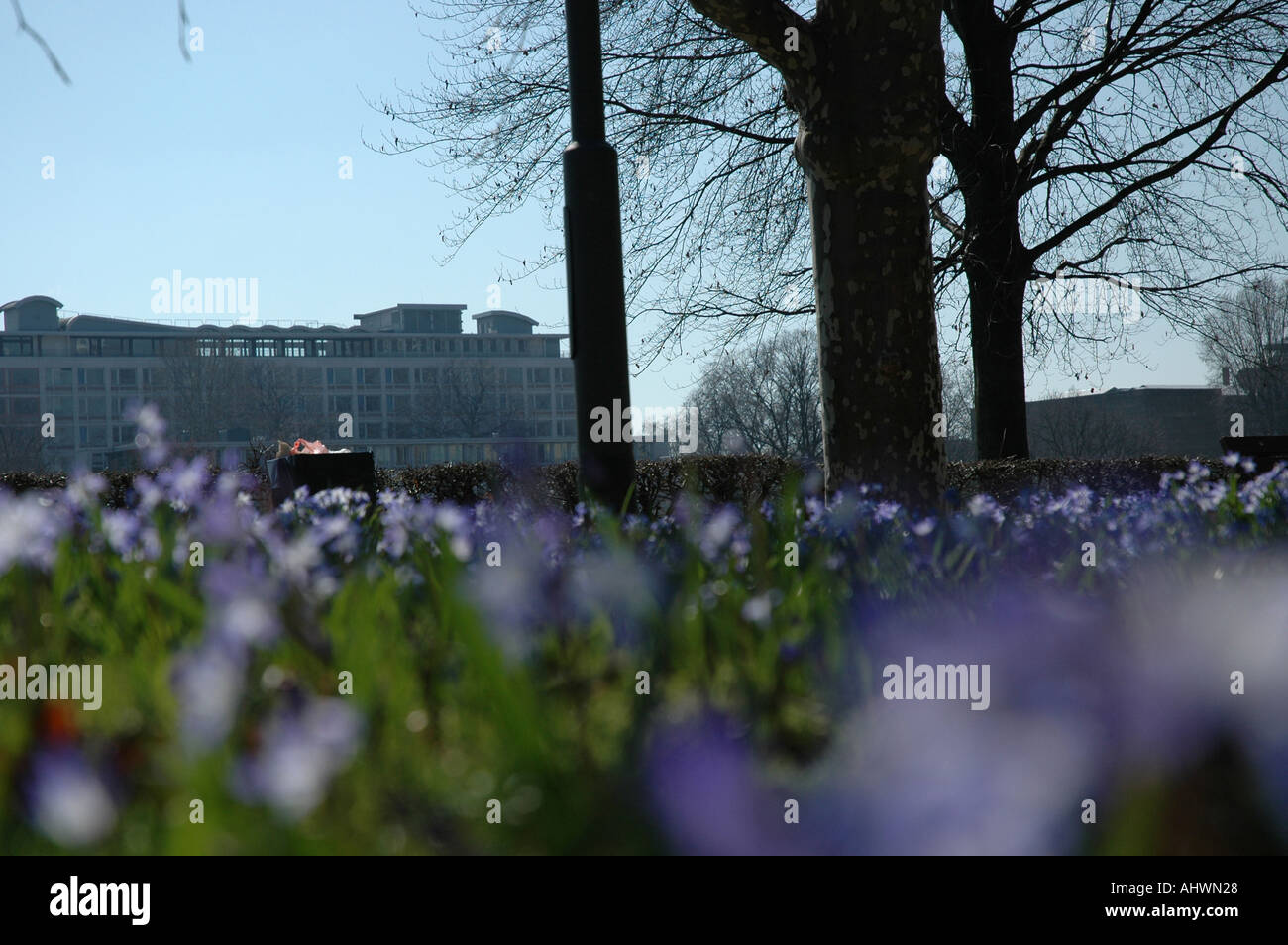 Hyac High Resolution Stock Photography and Images - Alamy