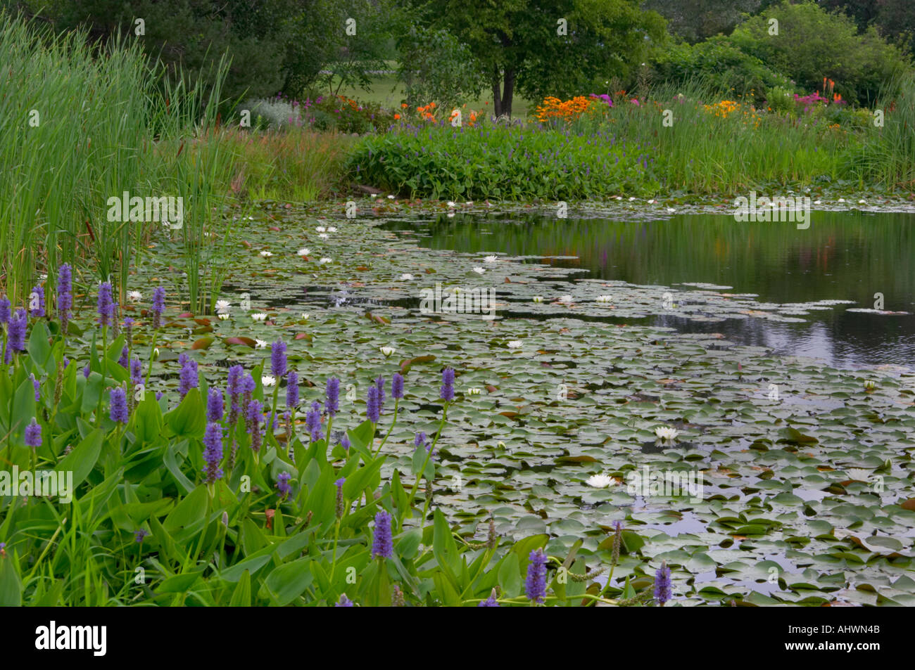 Flower garden around pond Stock Photo - Alamy