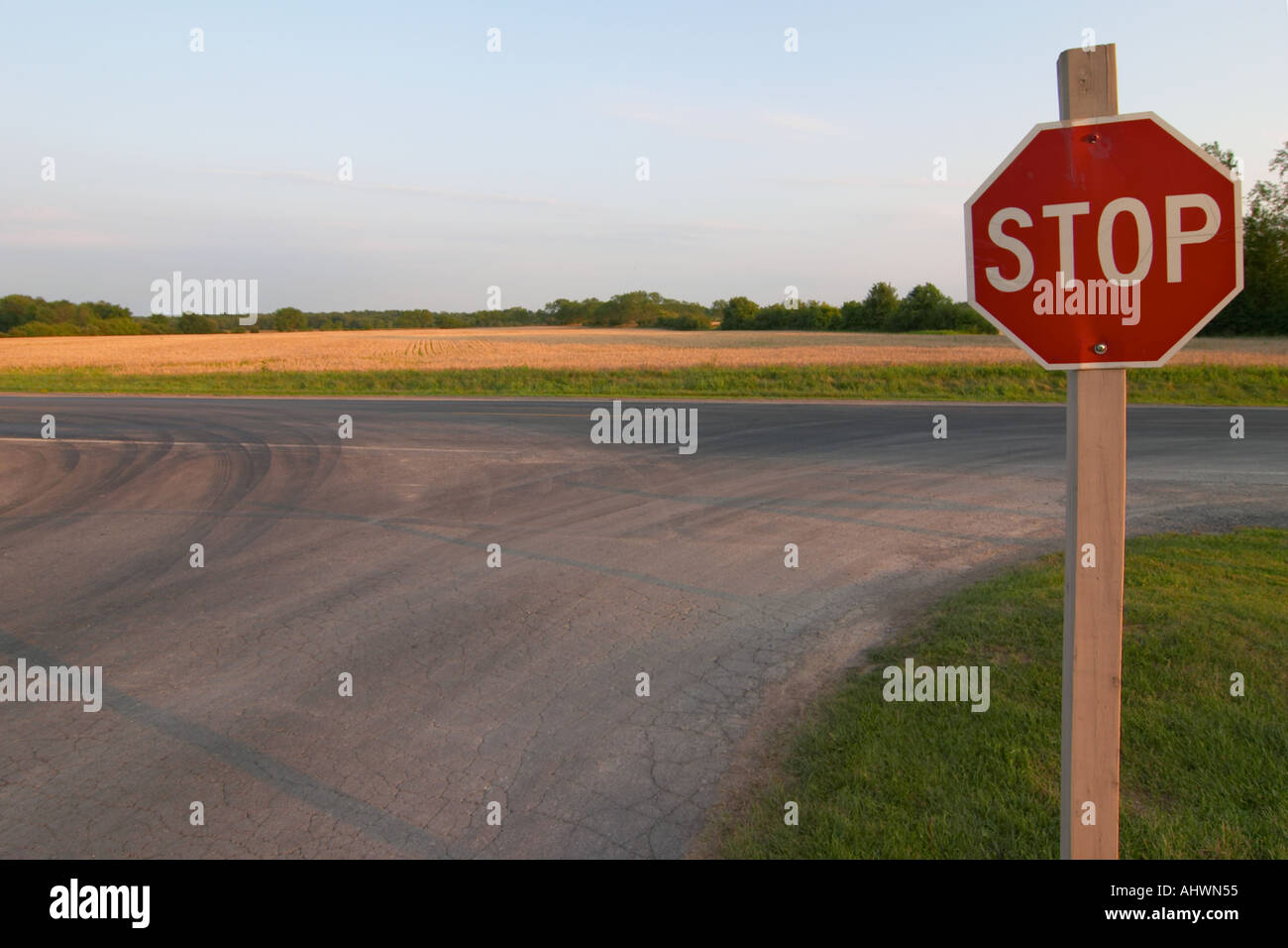 Stop sign in late afternoon light Stock Photo - Alamy